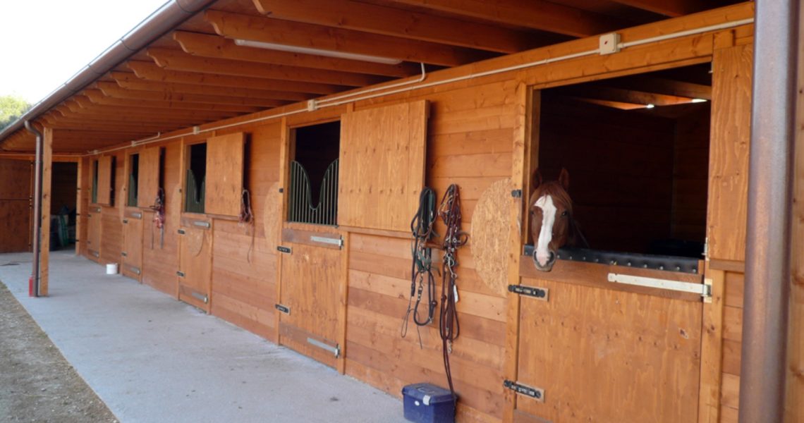 I box per cavalli realizzati da Legno Marchetti